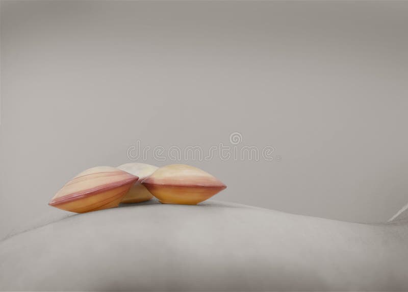 Hot shell massage on back stock image. Image of peace - 19694649