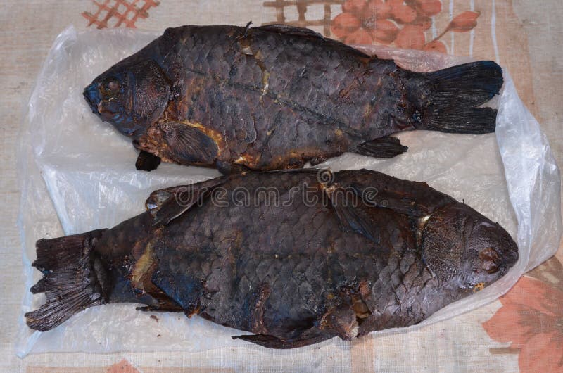 The Hot Smoked Carp Caught in the River Volga Stock Photo - Image of ...