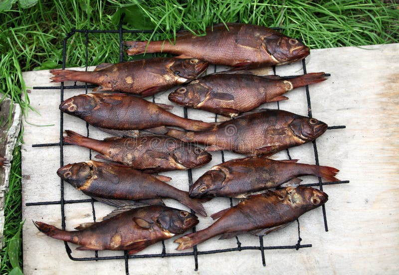 Hot smoked fish stock image. Image of grill, fish, grilled - 67338845