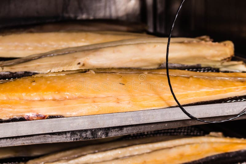 Hot Smoked Fish. Fish Production in Progress Stock Image - Image of ...