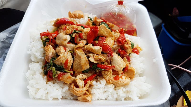 Hot and Spicy Basil Chicken with Rice Stock Photo - Image of healthy ...