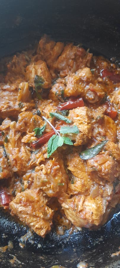 Hot and Spicy Chicken stock photo. Image of dessert - 244413206