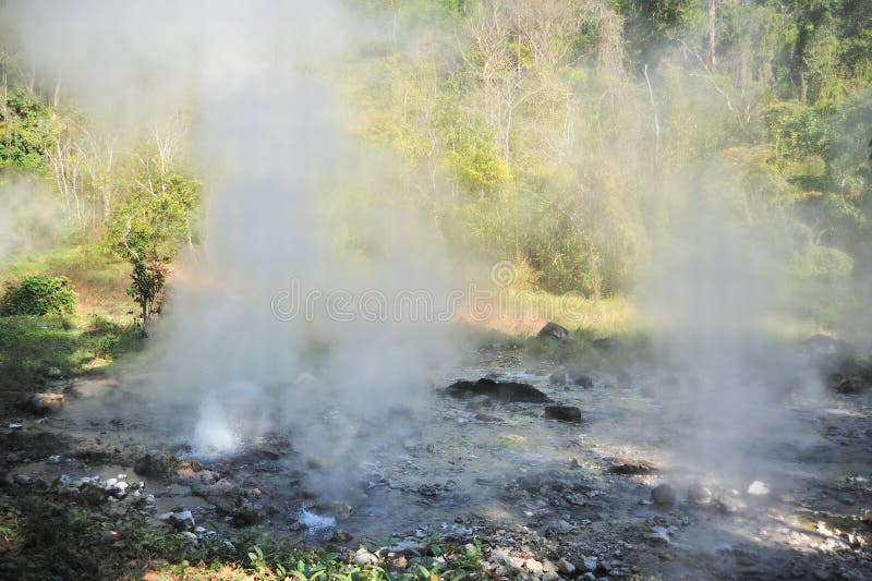 146 Natural Green Hotel Costa Rica Stock Photos - Free & Royalty-Free ...