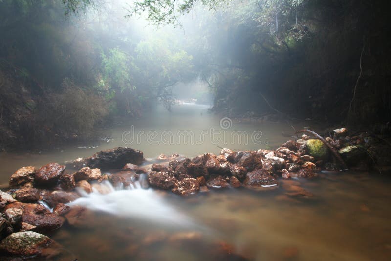 Green water lake in forest stock photo. Image of river - 8578814