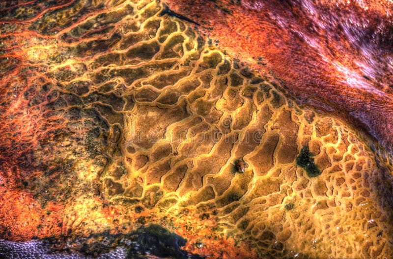 Hot Spring Background stock image. Image of spring, abstract - 97686875