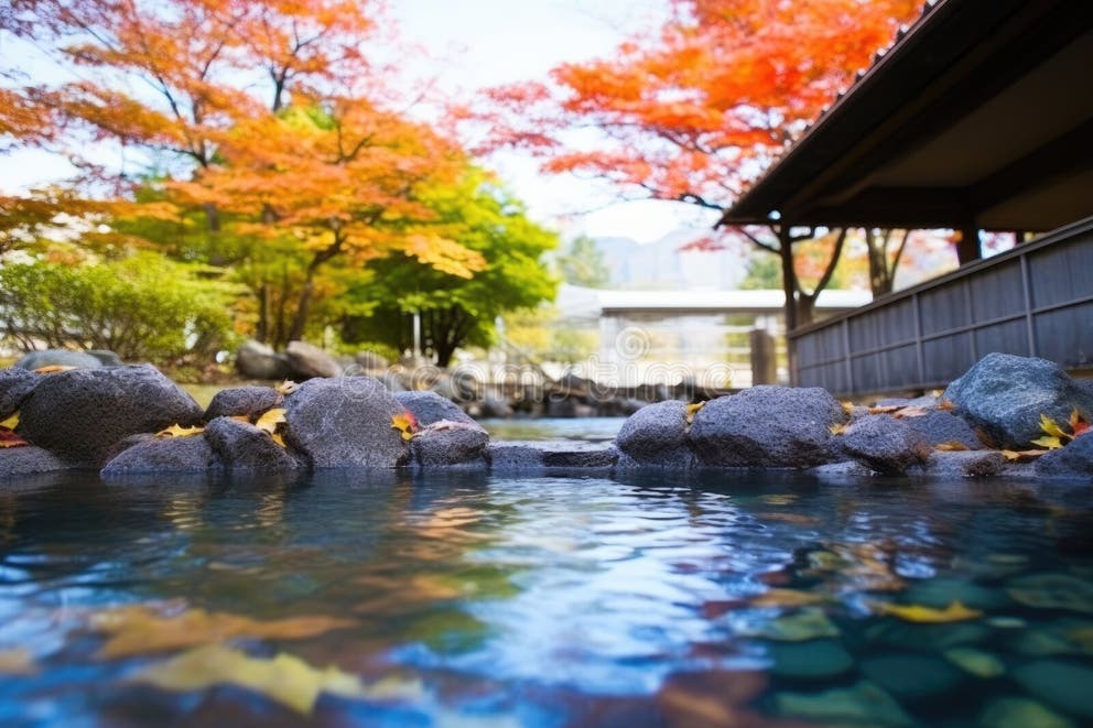 Hot Spring with Fall Maple Leaves Floating on it Stock Photo - Image of ...