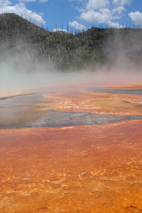 Hot Spring Geyser_Bacterial Formation Picture. Image: 972457