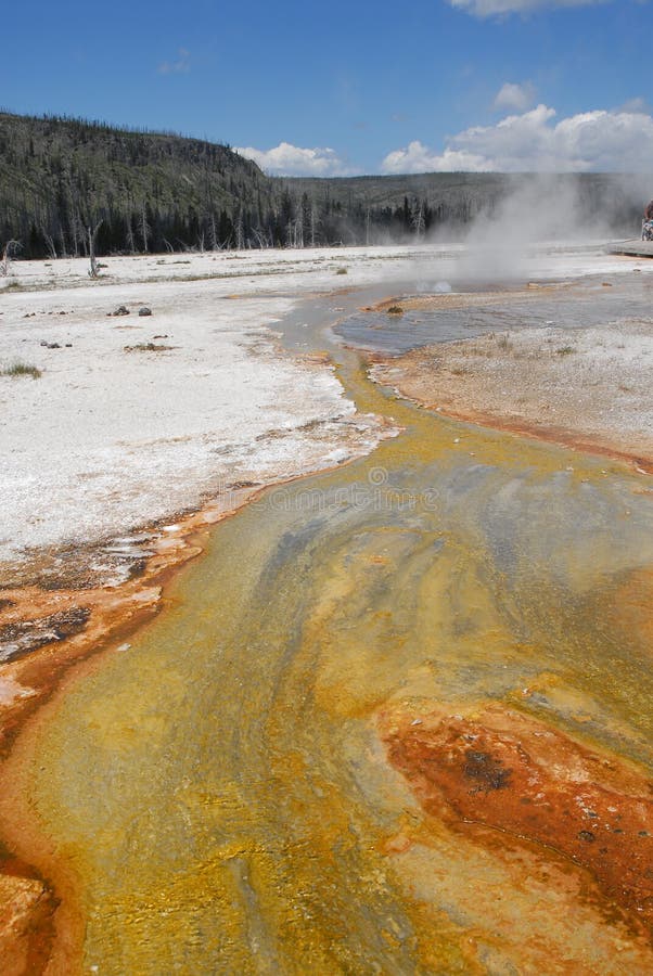 Hot Spring Geyser_Bacterial Formation Stock Image - Image of steaming ...
