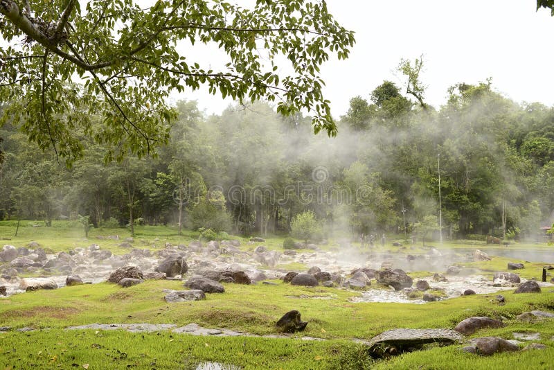 Hot spring stock image. Image of trees, natural, spring - 58424993