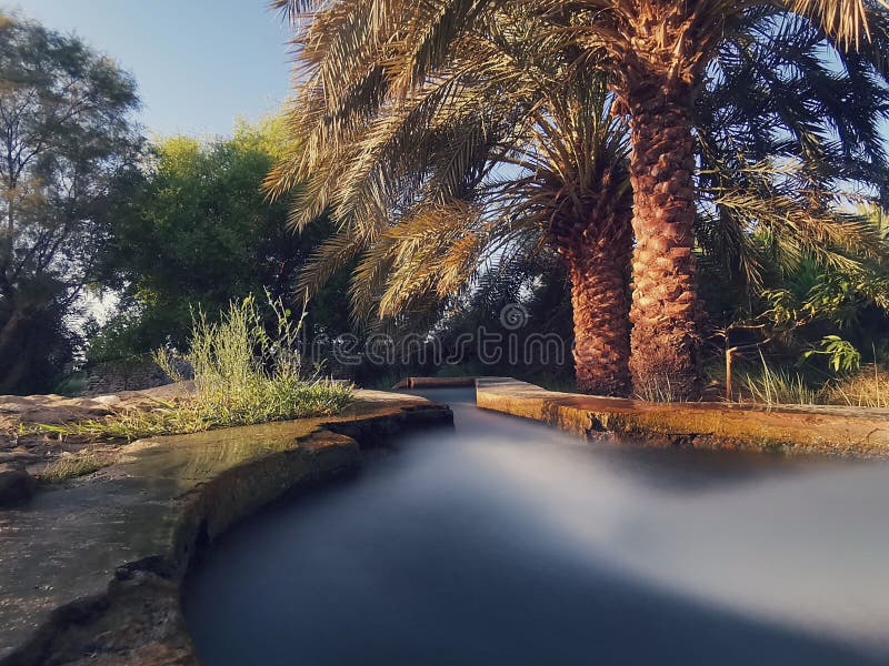 Hot spring in oasis Egypt stock image. Image of lake - 159374257