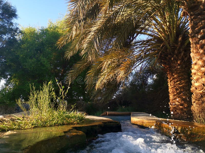 Hot spring in oasis Egypt stock image. Image of park - 159374269