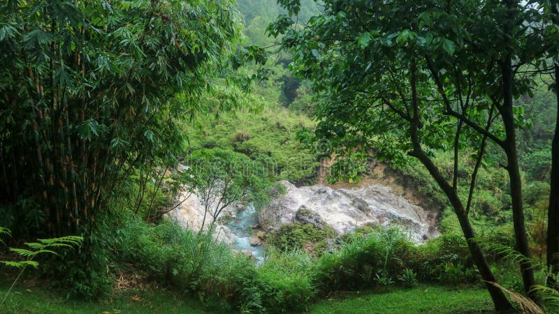 Hot Spring River with Green Beautiful Trees Stock Image - Image of ...
