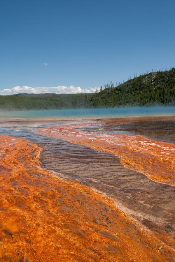 Hot spring Yellowstone stock image. Image of outdoors - 27993839