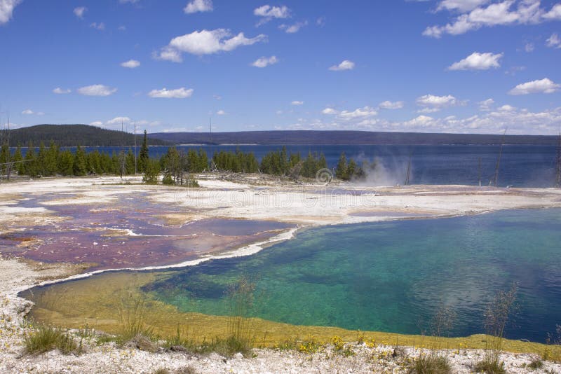 Hot Spring at Yellowstone Lake Stock Photo - Image of sulfur, summer ...