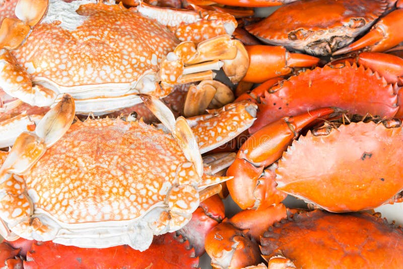 Hot Steamed crab stock image. Image of cooked, crustacean - 35838937
