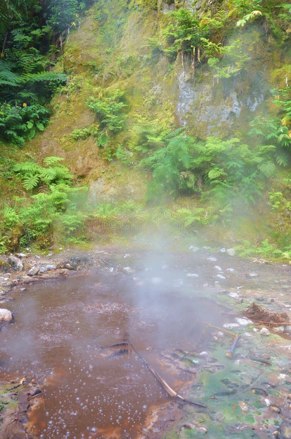 Hot steaming spring stock photo. Image of geology, nature - 27609336