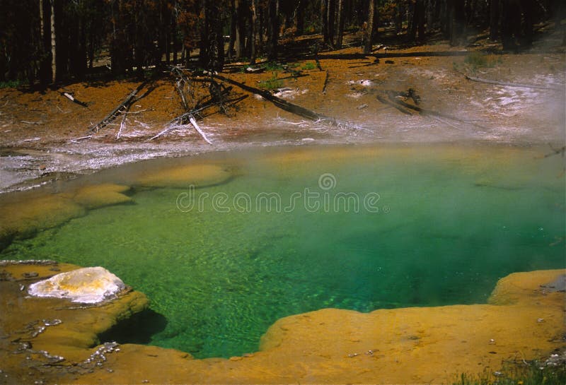 Hot Sulfur Pool in Yellowstone Stock Photo - Image of park, sulfur ...