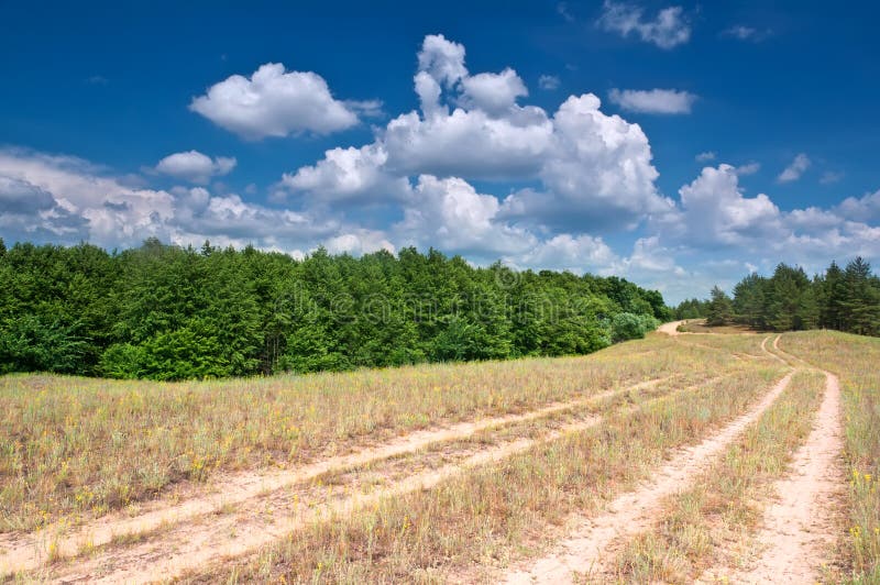Hot summer day. Landscape stock photo. Image of grass - 22738084