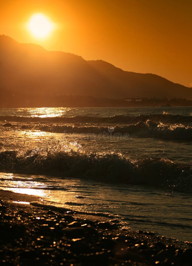 Hot Summer Morning stock image. Image of alone, nature - 15820919