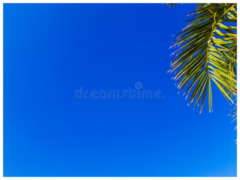 Hot Summer in this Year with Heat Sun Stock Image - Image of heat ...