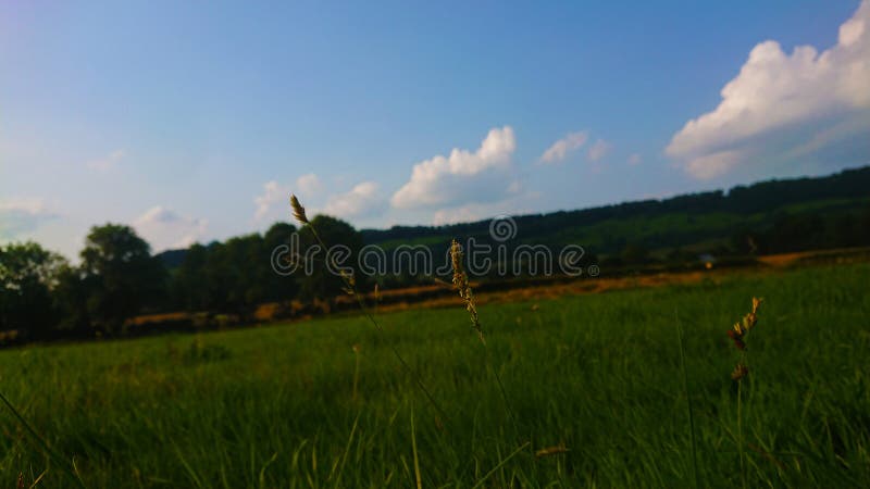 Hot Summers Day Walk in the Field with a View of the Surrounding Hills ...