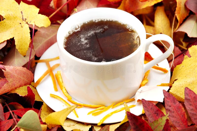 Autumn Tea stock photo. Image of fall, english, time, autumn - 1502100