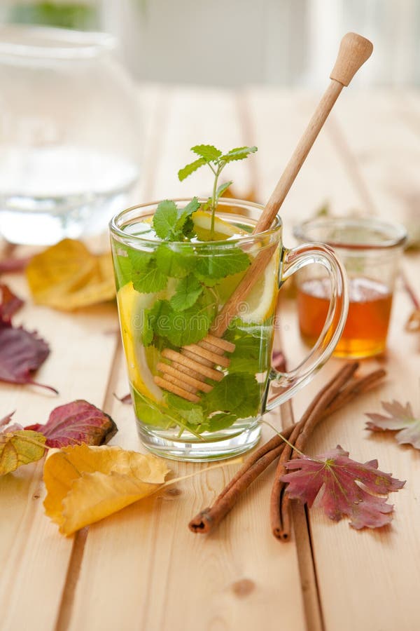 Hot tea in autumn stock photo. Image of honey, fresh - 60774120
