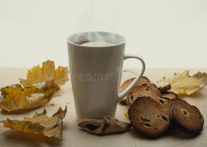 Hot tea stock photo. Image of fall, thanksgiving, warming - 61256864