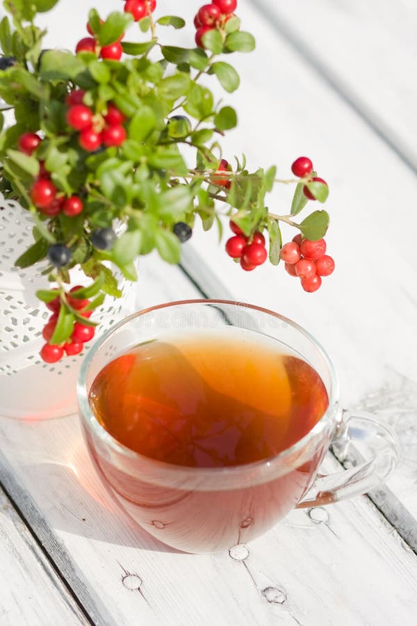 Hot Tea and Beriies. Focus on Cup Stock Photo - Image of herbal, bunch ...