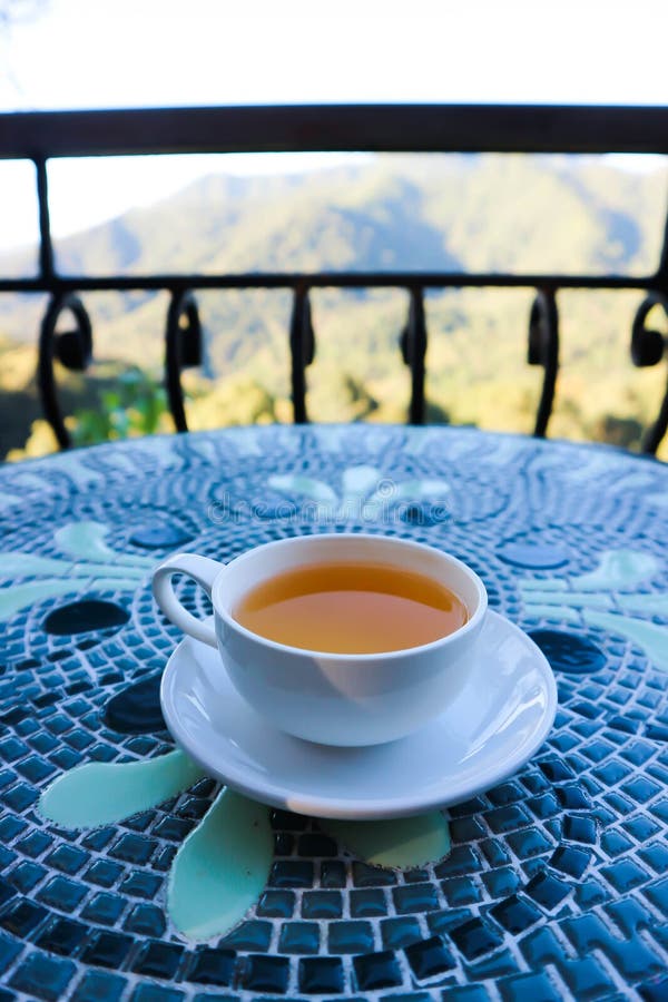 Hot Tea , Tea Cup for Serve Stock Photo - Image of hill, serving: 237561934
