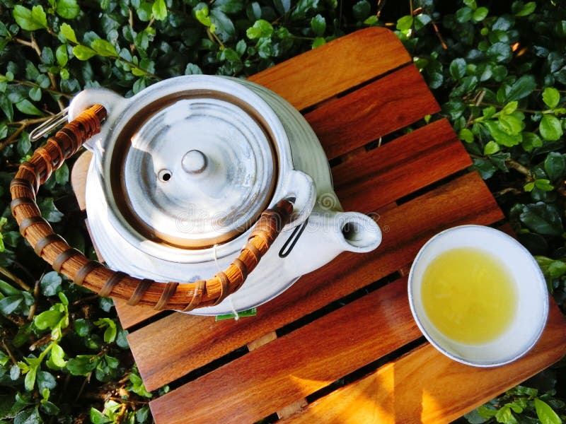 Hot tea stock image. Image of garden, drinking, teapot - 133203009