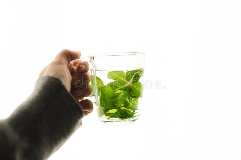 Hot Tea with Fresh Mint Leaves Stock Photo - Image of antioxidant ...