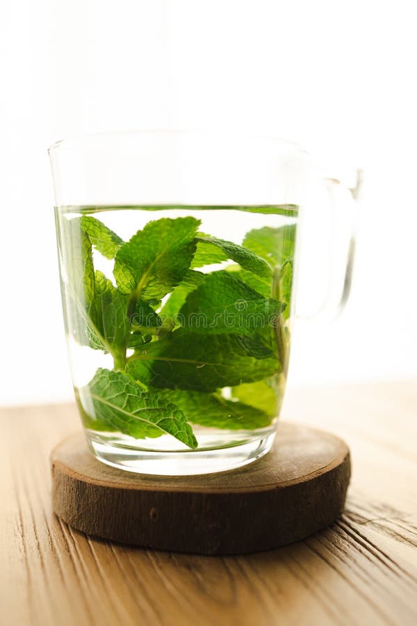 Hot Tea with Fresh Mint Leaves Stock Image - Image of tree, infusion ...