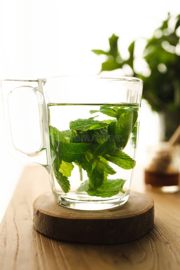 Hot Tea with Fresh Mint Leaves Stock Photo - Image of green, garden ...