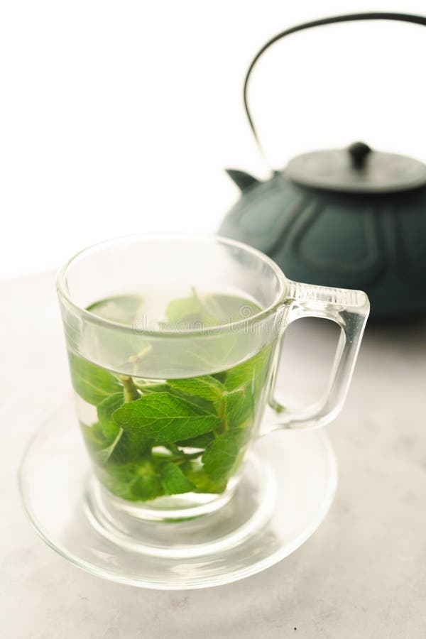 Hot Tea with Fresh Mint Leaves Stock Image - Image of flower, petal ...