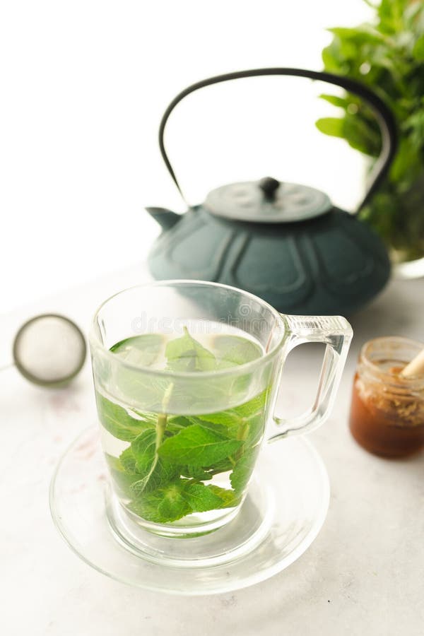 Hot Tea with Fresh Mint Leaves Stock Photo - Image of aromatherapy ...