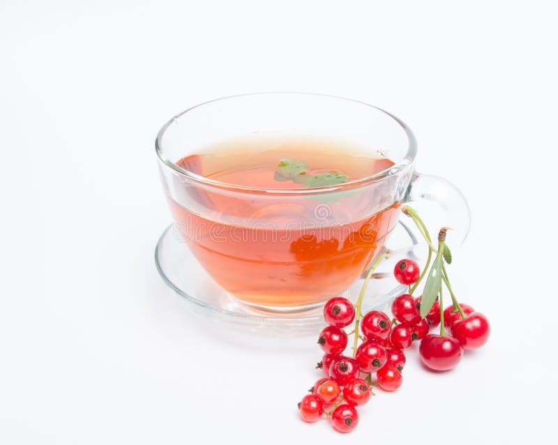 Hot tea with red currants stock image. Image of beverage - 56656157