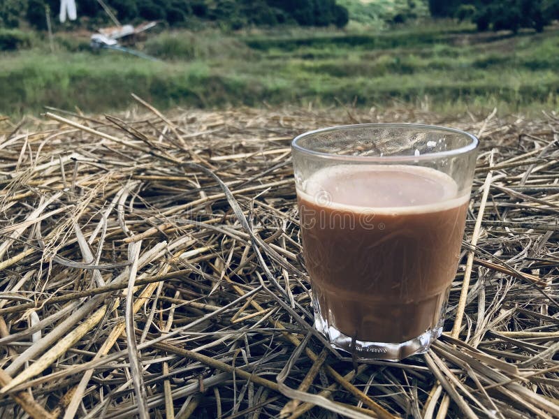 Hot Tea at the Straw in the Midst of the Dharma Stock Image - Image of ...