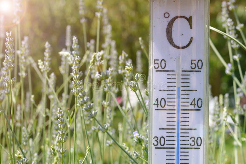 Hot temperature stock photo. Image of measurement, weather - 56236676