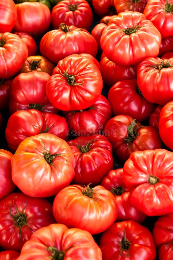 Hot Tomatoes stock photo. Image of fresh, ripe, fruit - 11715150