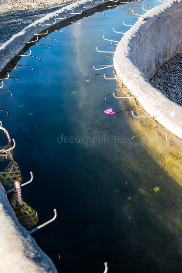 Hot Water from Underground at Sankamphaeng Hot Spring Stock Photo ...