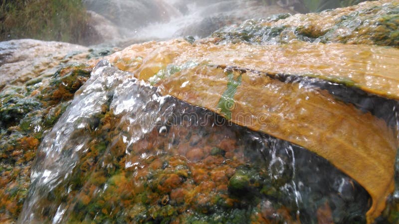 Hot Waterfall, You Can Feel it Stock Image - Image of feel, leaf: 254493215