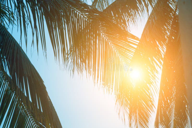 Hot Weather, Clouds Look Colorful before Sunset. Stock Photo - Image of ...