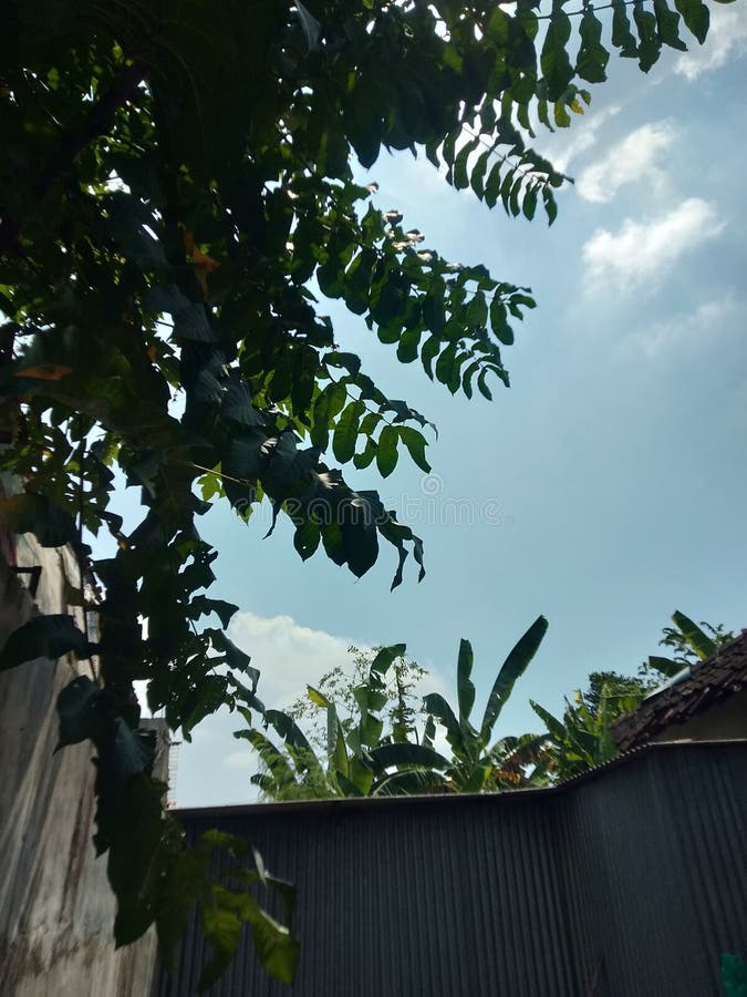 Hot weather during the day stock image. Image of weather - 263297785