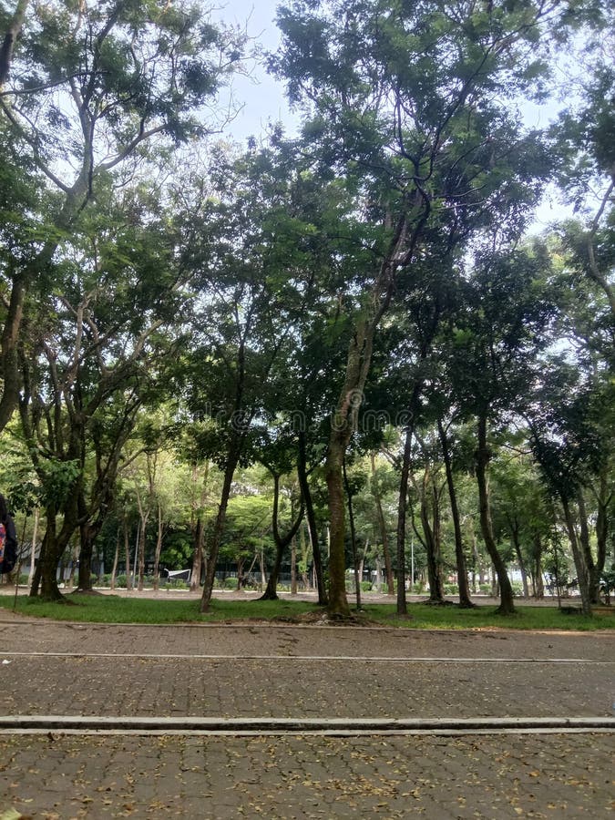 With the Hot Weather during the Day it Looks Very Hot the Presence of ...