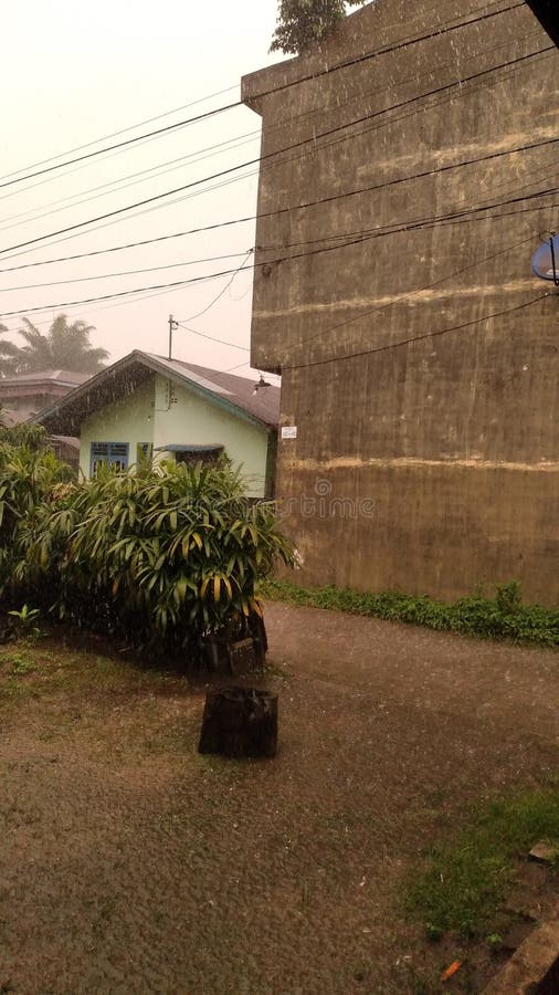 After the Hot Weather, and Finally the Rain Too Stock Photo - Image of ...