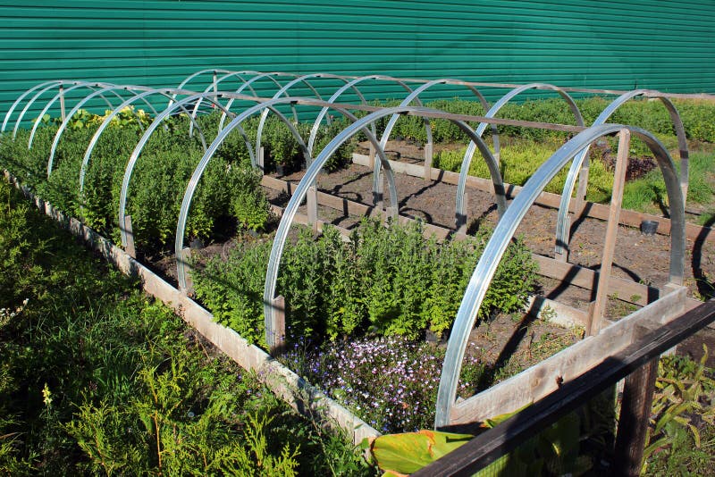 Hotbed casings stock photo. Image of protection, seasonal - 77973242