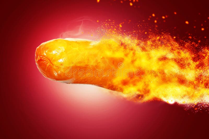 A Hotdog BBQ Pork Burning Fly Stock Illustration - Illustration of ...