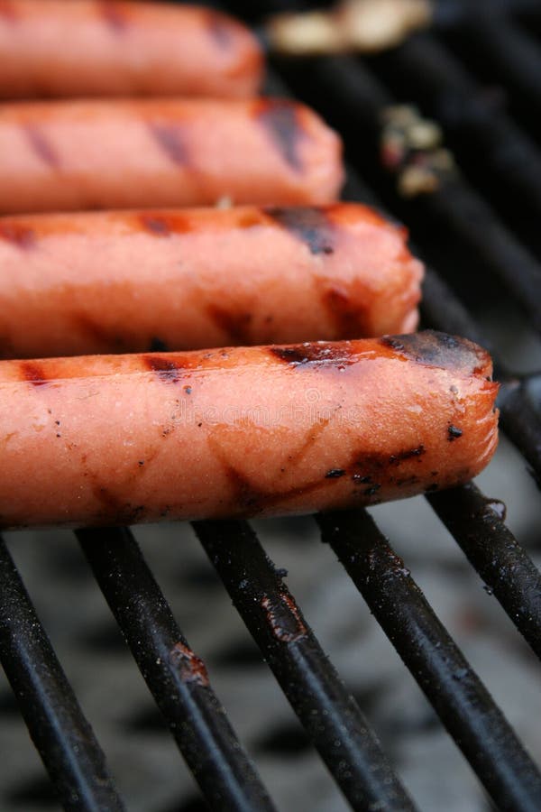 Hotdogs on the grill stock photo. Image of favorite, sirloin - 6471942