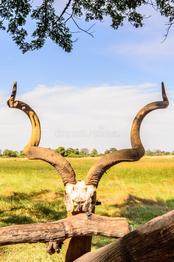 Hotel De La Casa De Campo De Mapula Imagen de archivo - Imagen de lujo ...